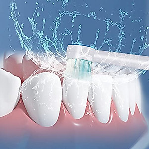 Replacement Tips for Waterpik Water Flosser Classic Jet Tips Waterpik' Replacement Parts and Other Oral Irrigators (AquaFlosser 6 Tips)