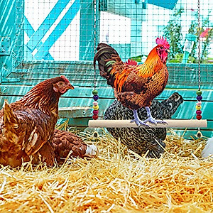 EBaokuup 3PCS Chicken Toys for Coop Accessories, Chicken Xylophone Toy, Suspensible Wooden Chicken Toys for Hens Chicken Stand Toy, Chicken Vegetable Hanging Feeder Chicken Veggies Skewer Fruit Holder
