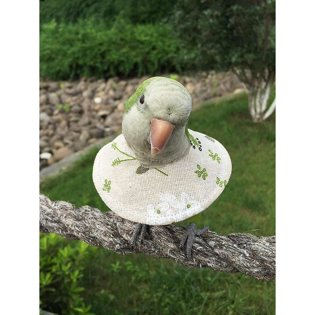 Bird Collars,Adjustable Recovery Collar Parrot Elizabeth Collar for Feather Plucking Feather Protector Shield with Soft Padded Cotton Neck Cone Anti-bite Anti-Licking Wound Healing (5XL,Flower)