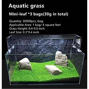 30gram Aquarium Plant S e-e-d, 3 Pack no Artificial Plastic Water Grass for Fish Tank Terrarium Carpet Grass Mini-Leaf AAA