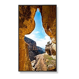 NEC V554 55" Commercial-Grade Large Format Display LED Monitor w/Speakers