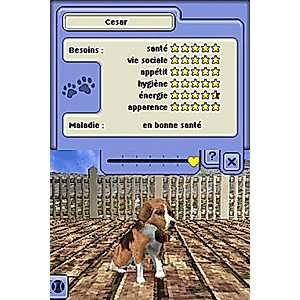 The Sims 2: Pets (Nintendo DS)