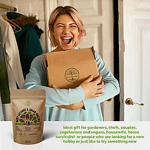 Organo Republic 18 Lettuce & Salad Greens Seeds Variety Pack 9200+ Non-GMO Heirloom Lettuce Seeds for Indoors & Outdoors Garden, Hydroponics, Aerogarden - Arugula, Kale, Spinach, Swiss Chard, Lettuce