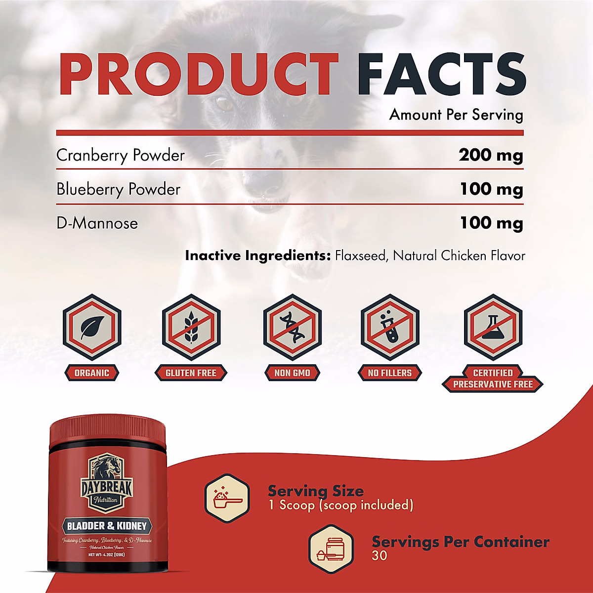 Bladder and Kidney Relief for Dogs & Cats by Daybreak Nutrition | Powder Cranberry Supplement for Dogs and Cat for UTI Treatment & Urinary Support | Dog & Cat Urinary Tract Infection Remedy Supplement