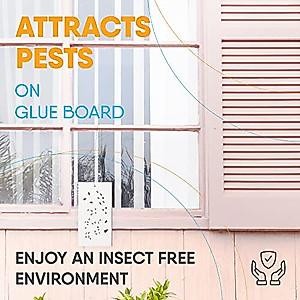 Flyweb Fly Light Glue Boards 1 Pack of 10 Replacement Glue boards for Gardner Flyweb Classic Fly Light and Flyweb Plus - Trap Fruit Flies, Mosquitoes, bugs and other Flying Insects