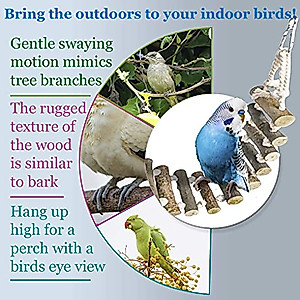 SunGrow Gecko Wooden Ladder Bridge, 14” Customizable, Versatile Enrichment Exercise Gym, Increase Living Vertical Space for Geckos, Hermit Crabs, and Pocket Pets