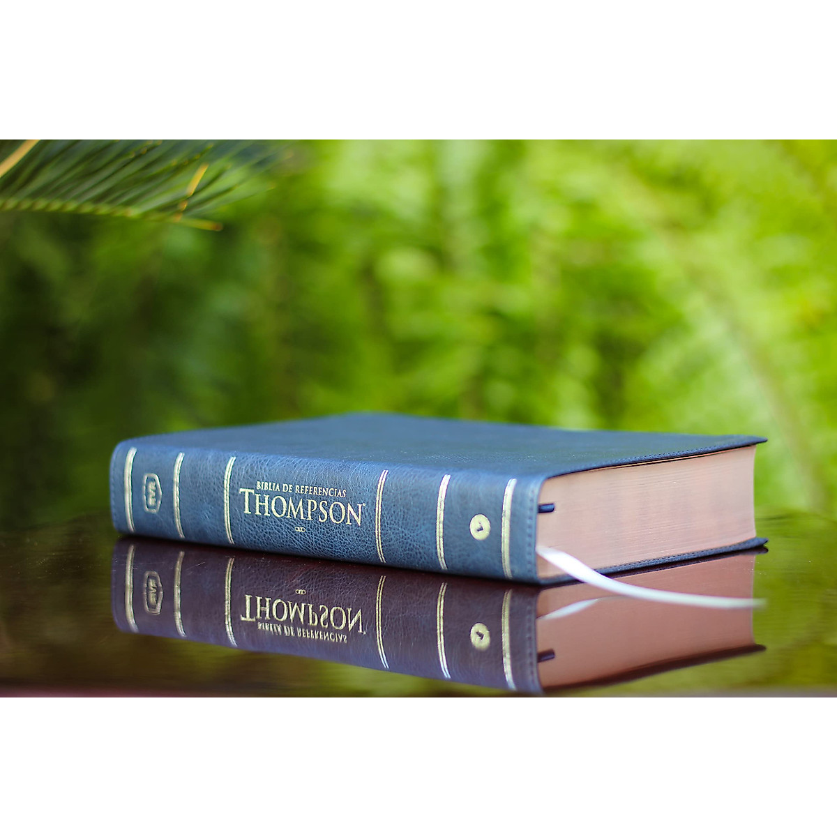 Reina Valera Revisada, Biblia de Referencia Thompson, Leathersoft, Azul añil, Palabras de Jesús en Rojo, con Índice (Spanish Edition)