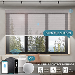 WEFFORT Motorized Shades 50% Blackout Smart Blinds Work with HomeKit Alexa Google Home Electric Blinds with Remote Control for Windows Shade for Smart Home, PVC FREE SUNSCREEN Stone