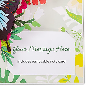 Paper Love 3D Spring Butterfly Pop Up Card, Gift for Birthday, Wedding, Anniversary, Thank You, Get Well, All Occasion or Just Because - 5" x 7" Cover - Includes Envelope and Note Tag