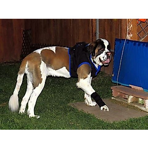 Carpal Wrist Wrap (med/large 4"-6")