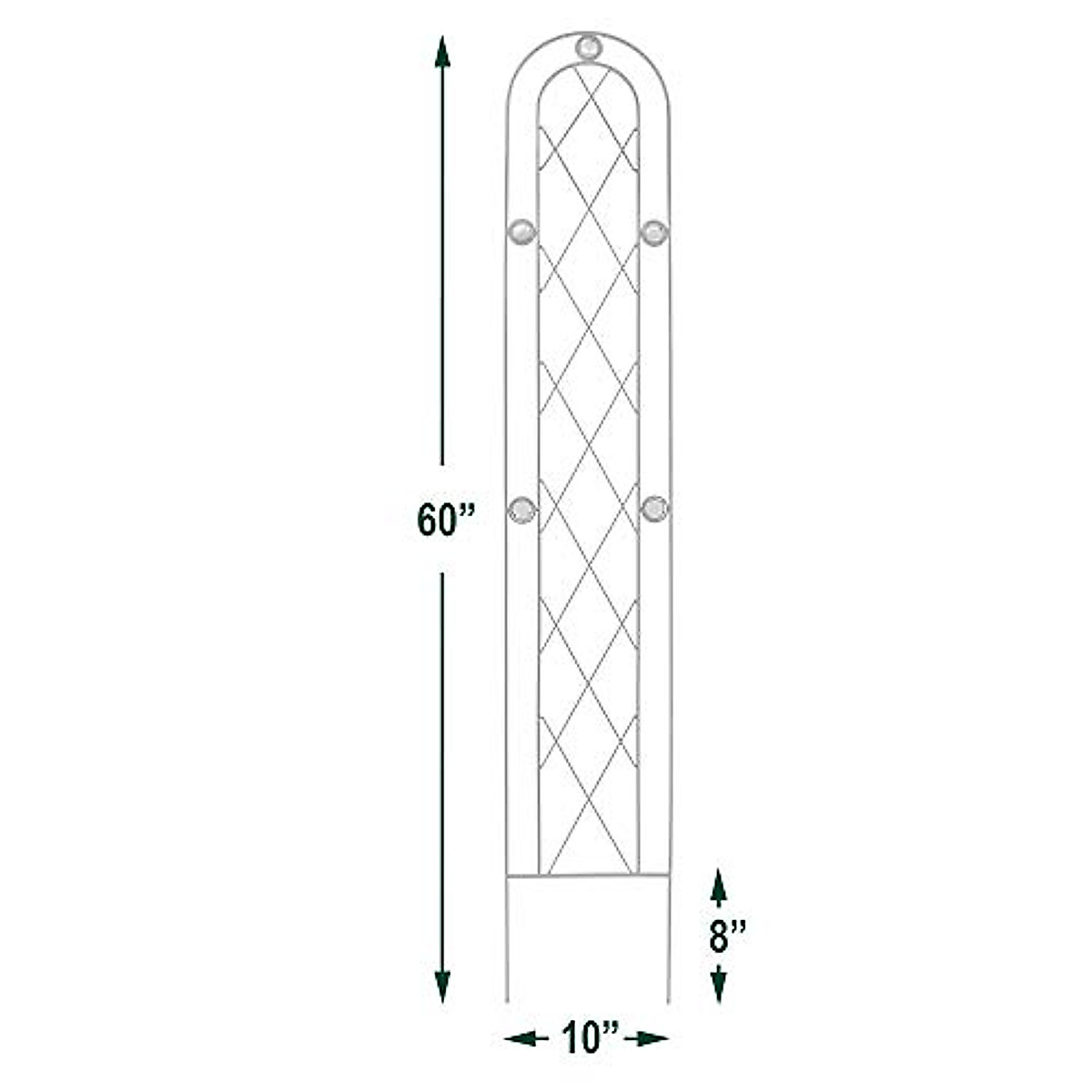 Arcadia Garden Products TR02 Arched Garden Trellis, 5' x 10", Black