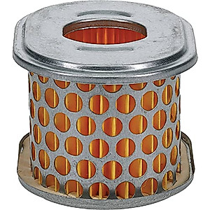 Kohler 055-919 Air Filter, Multi