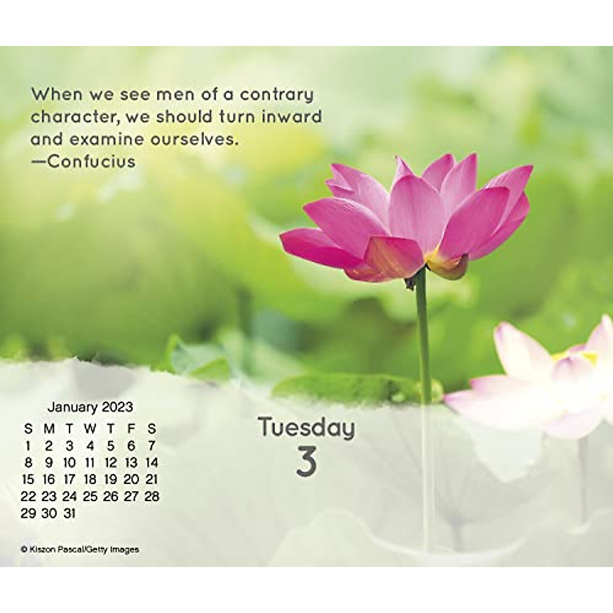 2023 Zen Day-at-a-Time Box Calendar