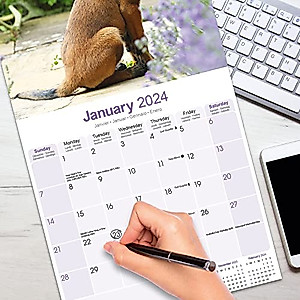 Belgian Shepherd Calendar - Dog Breed Calendars - 2023 - 2024 wall calendars - 16 Month by Avonside