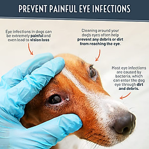 PUPPY LISA Dog Eye Wipes - Tear Stain Remover Hypoallergenic Made in The US Natural Eye Wipes for Dogs, Non-Irritant - with Aloe and Chamomile - Eye Wipes for Small Dogs for Discharge and Crust