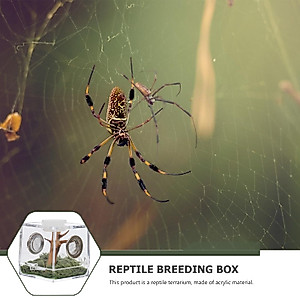 VILLCASE Glass Containers Spider Terrarium, Acrylic Reptile Breeding Box Jumping Spider Enclosure with Dropper Tongs for Tarantula Scorpion Sling Snake Gecko Amphibia