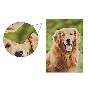 Hokkien Smiling Golden Retriever Dog Garden Flag Double Sided 12 x 18 Inch, Yard Flags, Decorative Small Garden Flags, Outdoor Lawn and Garden Décor
