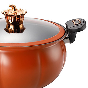 Micro Pressure Cooker P Kitchen Tool Wrought Iron Glass Lid Universal Micro Pressure Cooker (28cm)