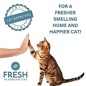 FRESH HEADQUARTERS Activated Carbon Filter Replacements Compatible with Good Pet Stuff Hidden Cat Litter Planter – Active Charcoal Filters Eliminate up to 99% of Cat Box Smells (4 Pack)