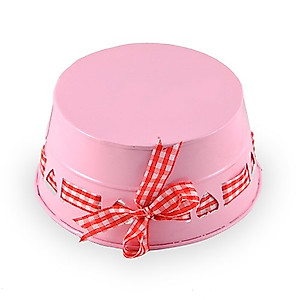 The Lucky Clover Trading Round Heart Design with Ribbon Basket, Small Container, Pink, Red
