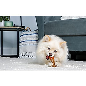 Hartz Chew ‘n Clean Chew Toy and Treat in One Chicken Flavored Drumstick Dog Toy, Small