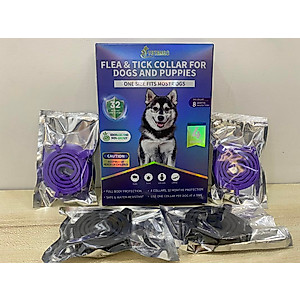 4 Pack Flea Collar for Dogs, Flea and Tick Collar for Dogs Puppies, 32 Months Flea and Tick Prevention for Dogs, Dog Flea Collar, Dog Flea and Tick Treatment-Black and Purple