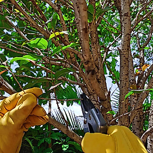 KINDE Gardening Gloves - Thorn Proof Cowhide Leather Rose/Blackberry Pruning Long Forearm Protection Gauntlet, Work Garden Gloves (YELLOW, Medium)