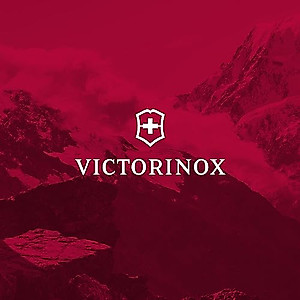 Victorinox Swiss Army VX Sport EVO Daypack (Black)
