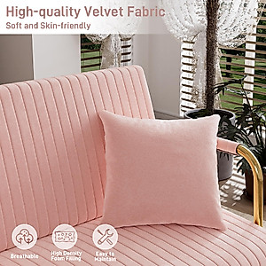 Nolohoo Loveseat Couch Set of 2 with Gold Legs, 58.6" W Pink Small Sofa with 2 Pillows, Tufted Upholstered Settee 2 Seater Mini Couch for Living Room, Bedroom, Office, Apartment (Pink,Velvet)