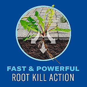 BioAdvanced Weed & Grass Killer, 1.3-Gallon, Ergo