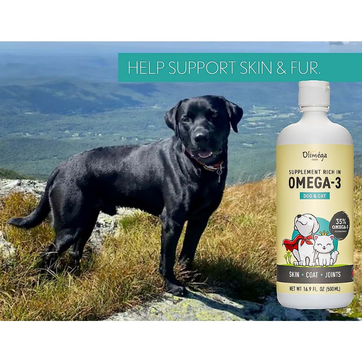 Camelina Oil for Dogs & Cats, 500mL by Olimega Farm | High in Omega-3 & Vitamin E | Support for Healthy Joints, Coat & Skin | Alternative to Salmon Oil for Dogs | Made in Canada | Pack of 2