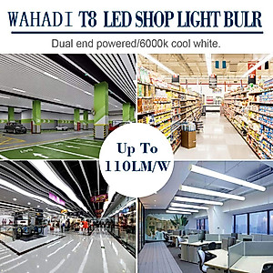 WAHADI 6 Pack 6FT T8 LED Tube Light Bulbs 40W 6000K Daylight with Dual-Row LED Single pin Fa8 Cap 6 Foot T10 T12 Fluorescent Lamp Replacement for Garage, Shop, Warehouse