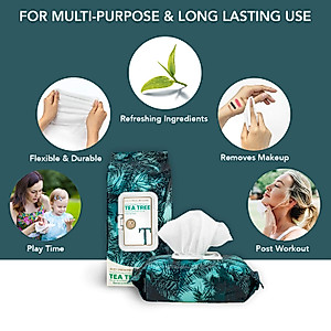 Body Prescription Makeup Cleansing Wipes - Gentle and Effective Face Wipes, 50 Count (Pack of 2), Tea-Tree