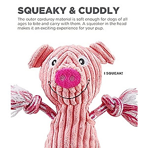 Outward Hound by Charming Pet Ranch Roperz Pig Plush Squeaky Dog Toy