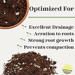 Terrarium Potting Soil Mix (4 Quarts), w/Blended Filtering Charcoal Custom Made for Terrariums