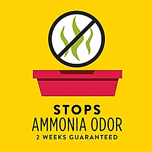 Purina Tidy Cats Clumping Cat Litter, Tidy Max 24/7 Performance Multi Cat Litter - 38 lb. Box