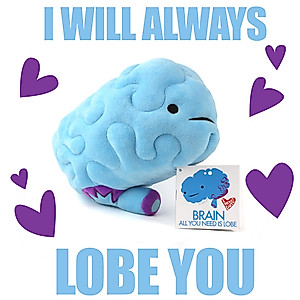 I Heart Guts Brain Plush - All You Need is Lobe - Educational Brain Pillow - 11” Organ Plush, Ideal for Doctors, Nurses, Medical Students, Graduation & Brain Surgery Recovery Gifts
