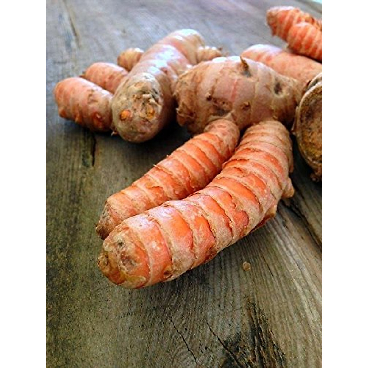 Turmeric (rhizome) Grow Your own,Grow Indoors or Outdoors - (1 Pound)