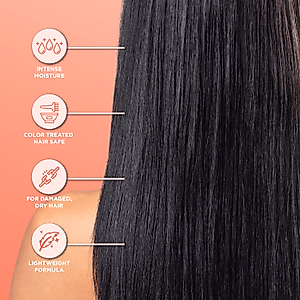 ORLANDO PITA PLAY Atmos-Shield 10-In-1 Thermal Heat Protectant Hairspray, Detangles, Protects Hair Color, Restores Shine, Reduces Frizz, UV Protection, Prevents Split Ends, Adds Body, 6.5 Fl Oz