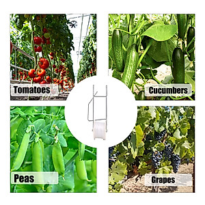 Bandelt 20 Pack Tomato Trellis Roller Hooks with 15M Twine for Tomato,Plant, Greenhouse,Flower Vine Twine Crop Trellis Kit Plant Roller Hook