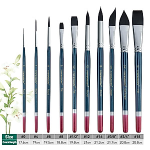 Transon 10pcs Natural Watercolor Paint Brush Set Professional for Watercolor Acrylic Ink Gouache Tempera Blue Color