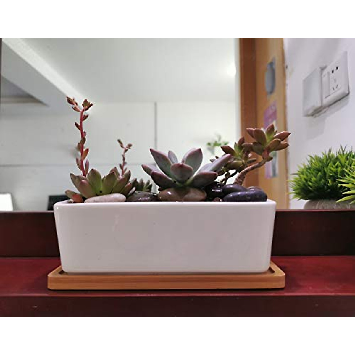 LANKER 6.5 Inch Rectangle White Ceramic Succulent Planter Pot Decorative Cactus Plant Pot Flower Container with Bamboo Tray (Rectangle 6.5 Inch)
