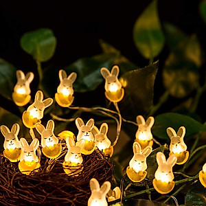 EONLYX Easter Decoration Lights, 10ft 30 LEDs Rabbit Bunny Easter Copper Wire Lights String Battery-Operated Fairy Lights for Bedroom,Wedding