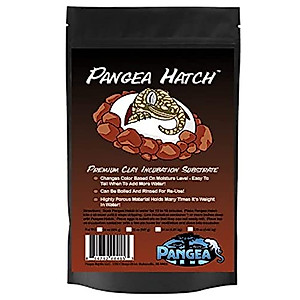 Pangea Hatch Premium Reptile Egg Incubation Substrate (1 lb)