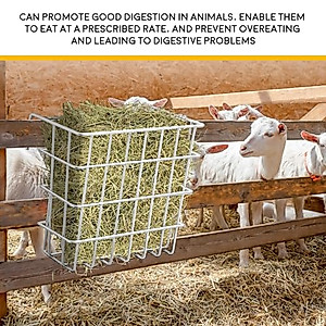 Gisafai Galvanized Hay Feeder 21.5 x 10.5 x 18 Inches Size Right for a Flake of Heavy Duty Welded Wire Large Hay Rack Wall Single Sided Feeder with Hook for Sheep Horses Farm Yield(Silver)