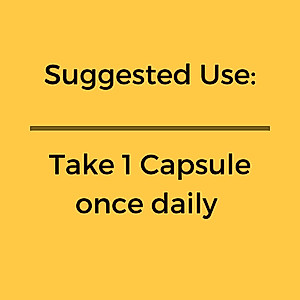 Natgrown Ginkgo Biloba 120mg - Extra Strength Ginkgo Biloba Extract Capsules - 120 Count