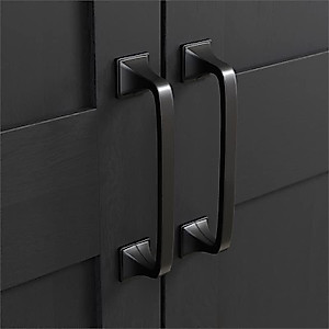 Sauder Engineered Wood 2-Door Storage Cabinet in Raven Oak Finish