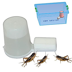 Crickets Water Feeder Cricket breeding kit Automatic Cricket Feeder Cricket Keeper with Tubes Feeding Crickets Cricket Feeding Cup Cricket Water Raising Rickets Cricket Water Bottle Cricket Crystals