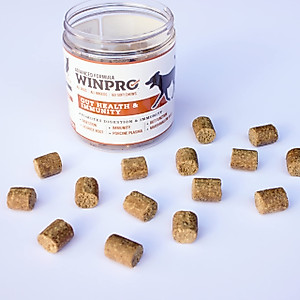 WINPRO | Dog Gut Health Supplement, Plasma-Powered Chews for Digestive Health, Fast Acting Immune Support in Dogs of All Breeds and Sizes, 60 Count, Made in USA