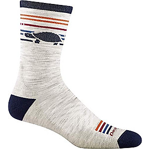 Darn Tough Men's Pacer Micro Crew Ultra-Lightweight With Cushion Sock (Style 1041) - Ash, Large